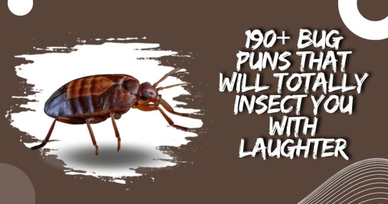190+ Bug Puns That will Totally Insect You With Laughter